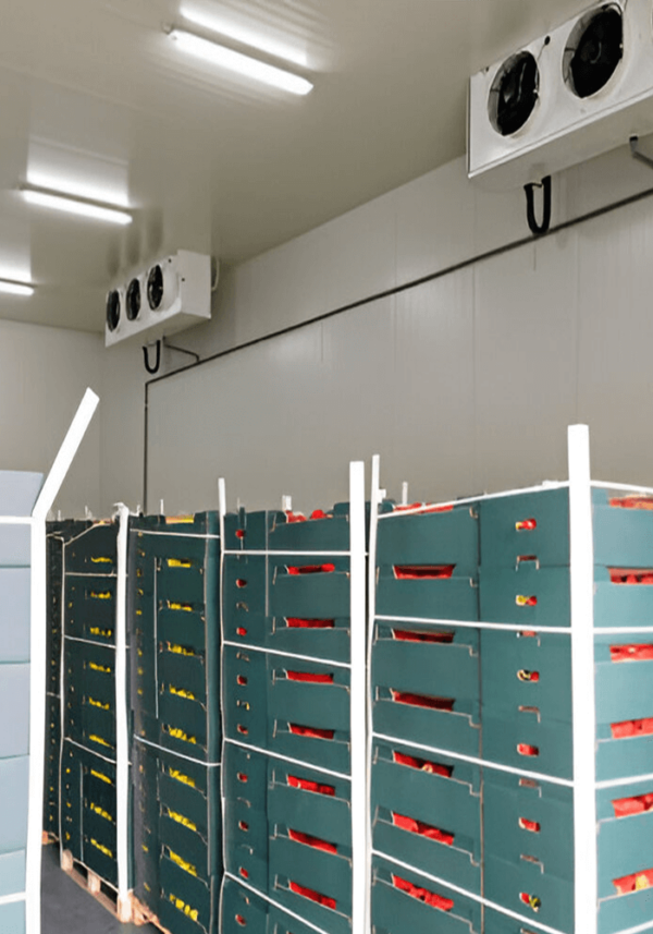 Cold Room Installation in Kenya | Fabrication & Maintenance